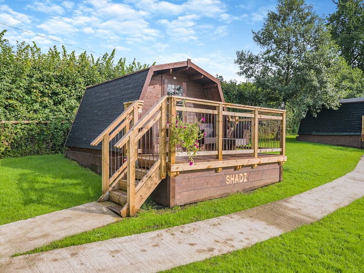 Shadi - Uk45069 - Llandeilo