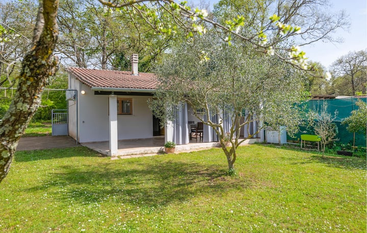 Gorgeous Home In Valbandon With Wifi - Pula