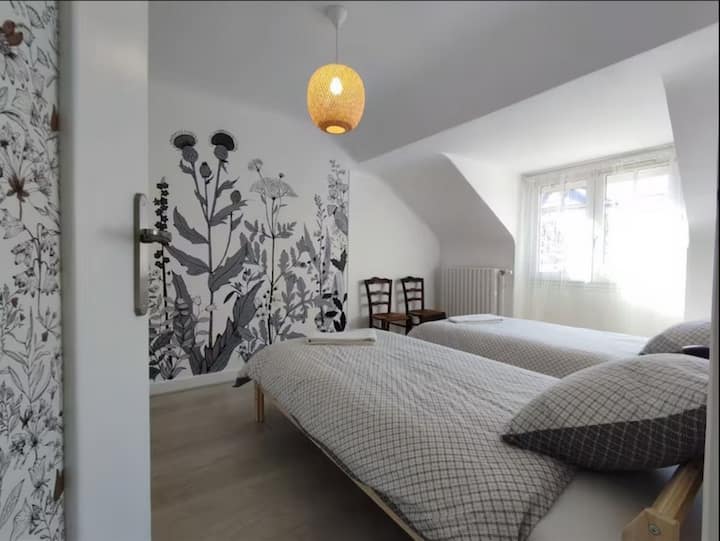 Gite St Denis-jardin-wifi-3 Chambres - Châteauroux
