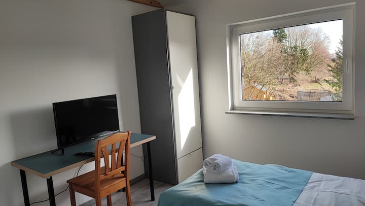 Damm Dg - Zv38 - Salzgitter