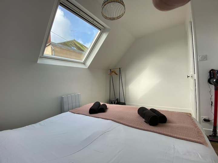 Cœur De Laval: Charmant 2 Pièces - Laval, France