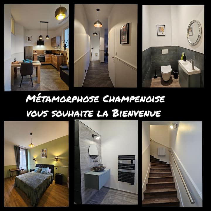 Chardonnay- Parking * Borne éLectrique * Clim - Épernay