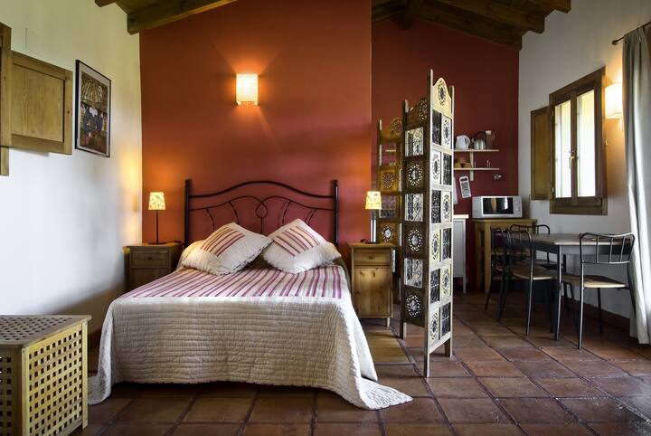 Casa Sarasa - Estudio Rojo - Puente la Reina de Jaca