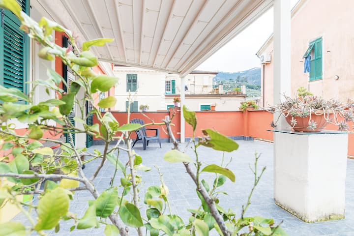 Cod.067 Santa Caterina (011017-lt-0781) - Levanto