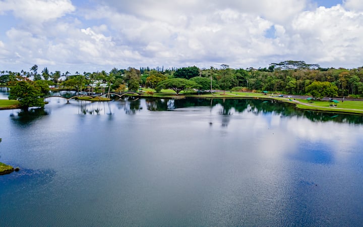 Hilo Lagoon Centre 814 2 King Br 2ba Ac Ocean View - Hilo, HI