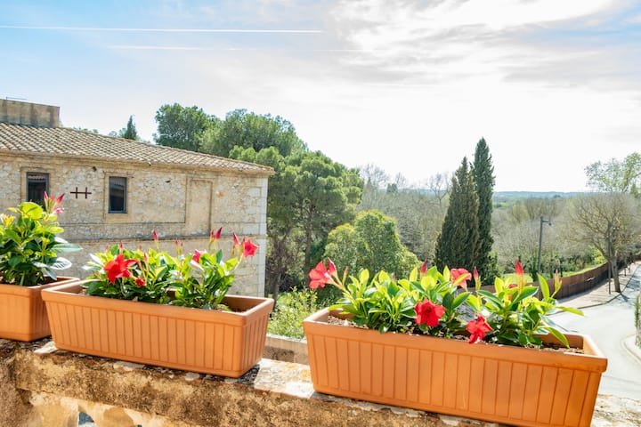Mas Camins Olivera - Figueres