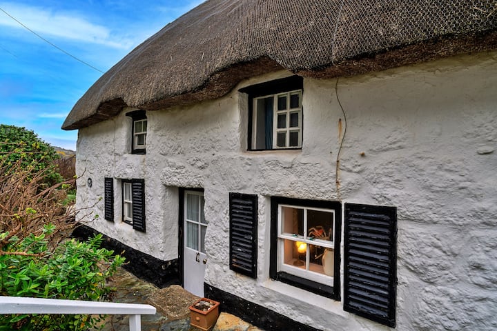 Lewcott - Sennen Cove