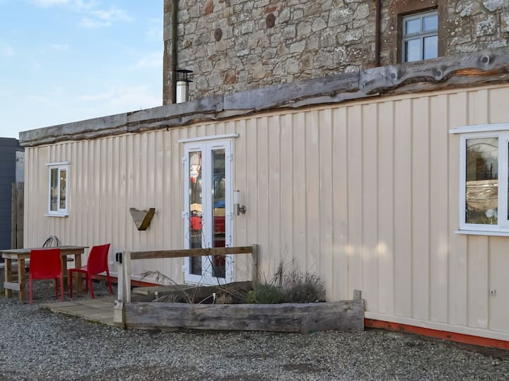 Half Pint - Uk46614 - Tain