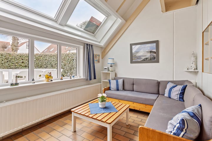 Albatros 24 + P89* - Nieuport