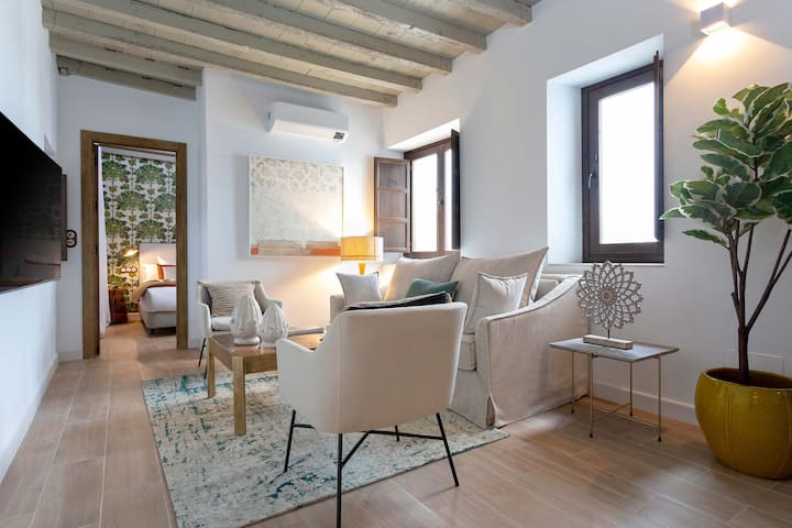 Luxury Apartment In Granada Center. Horno Marina 2 - Granada