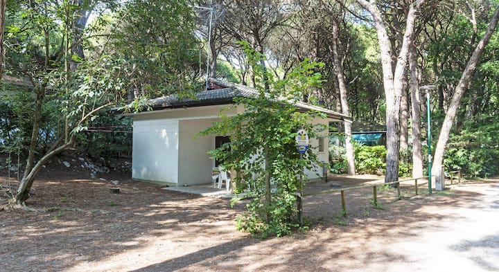Bungalow Villaggio Dancalia - Eraclea Mare