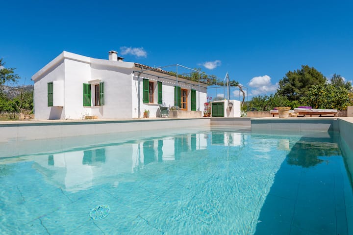 Finca Faustina - Selva