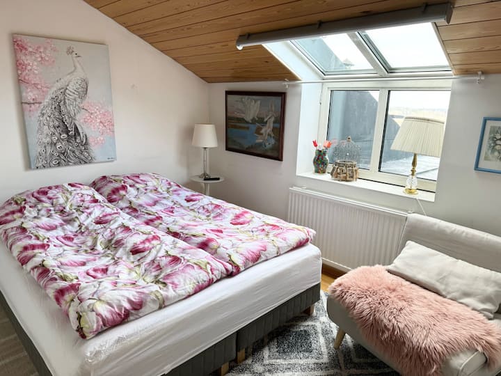 Crown Of Kruununhaka With Astonishing View - Helsinki