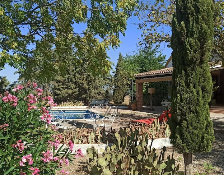 Finca El Palomar - Mora