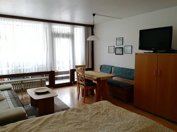 Schloss Grubhof Appartement - Lofer