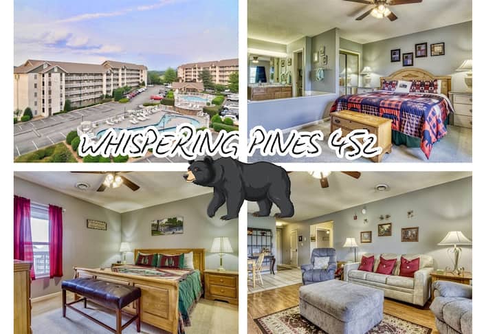 Free Dollywood Ticket • Lazy River • Pools • Wp452 - Pigeon Forge, TN