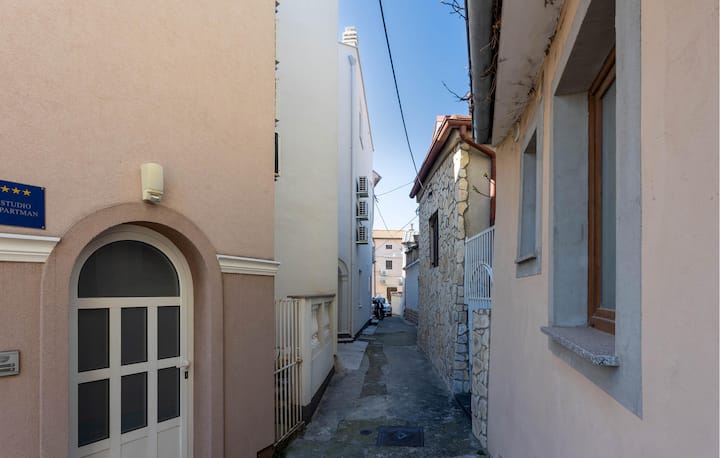 Pet Friendly Apartment - Novi Vinodolski