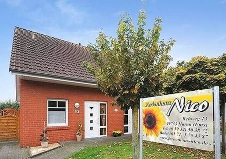 Nico (251456) - Haren