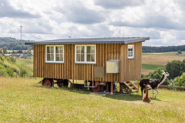 Tinyhouse Alpakawiese - Bad Salzschlirf