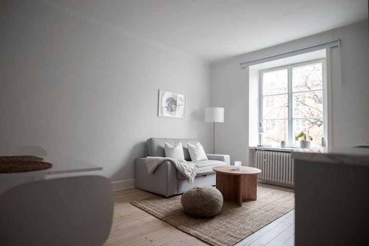 Cozy Newly Renovated One Bedroom Apartment - Solna