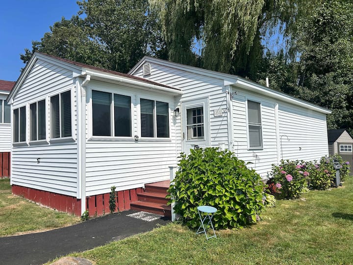 Dancing Belle - Wells, ME