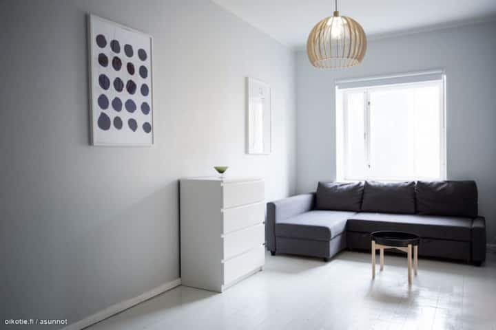 Lovely Renovated One Bedroom Apartment In Punavuor - Helsinki