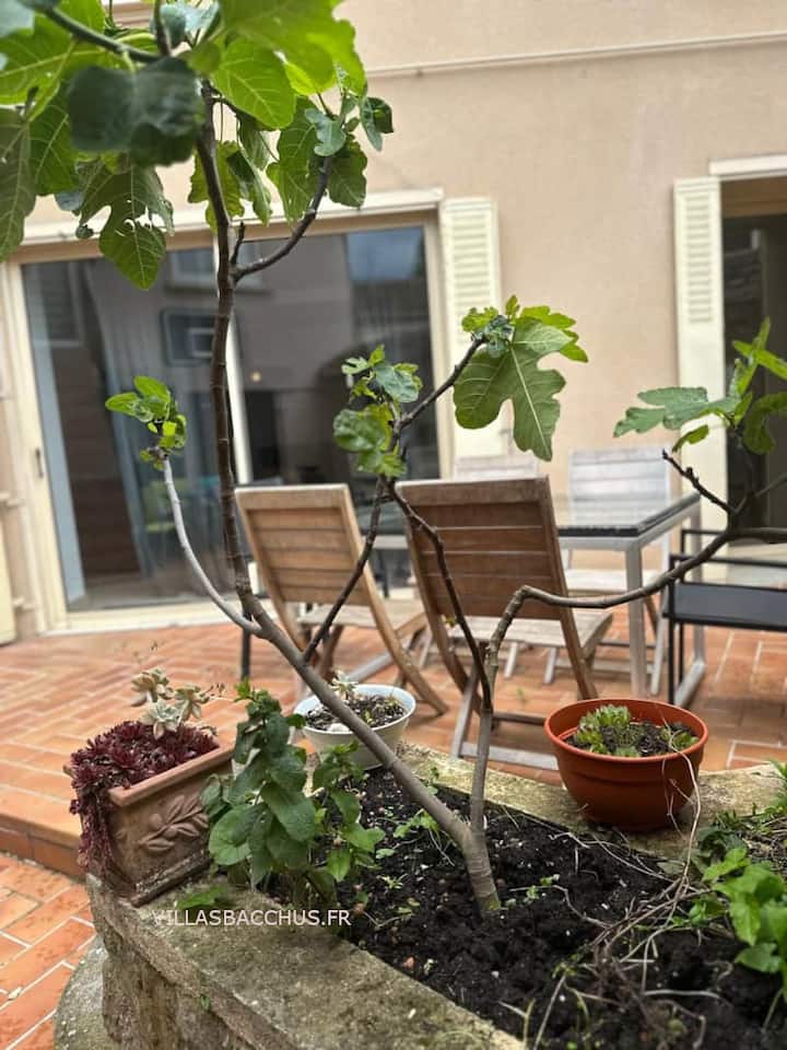 Maison Avec Jacuzzi, Hypercentre, 5 Chambres - Bourgoin-Jallieu