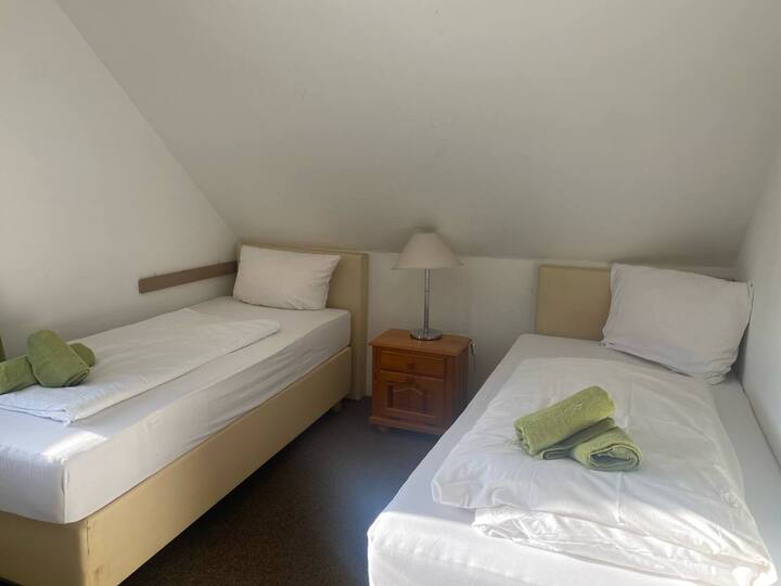 Pension Forelle - Double Room 001 - Forbach