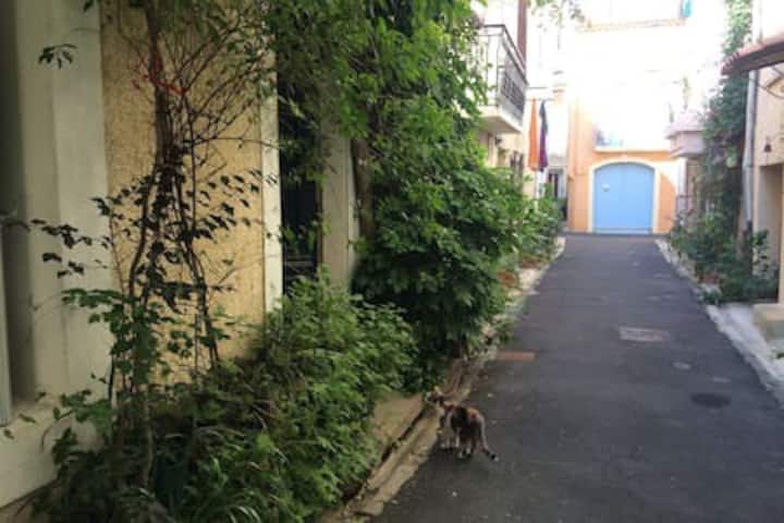 La Glycine - Villeneuve-lès-Béziers