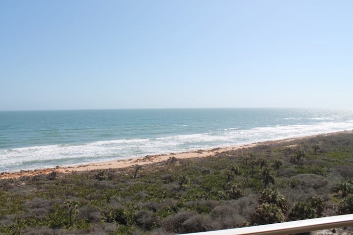 Surf Club 1405: Oceanfront Oasis: 2br, Elevator - Washington Oaks Gardens State Park, Palm Coast