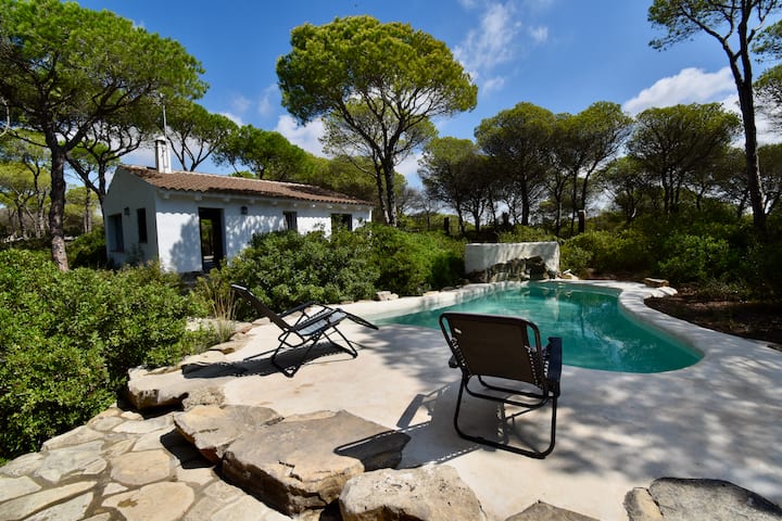 Espartosa 3 - Novo Sancti Petri