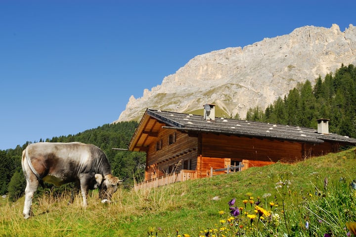 Thaleralm - Predazzo