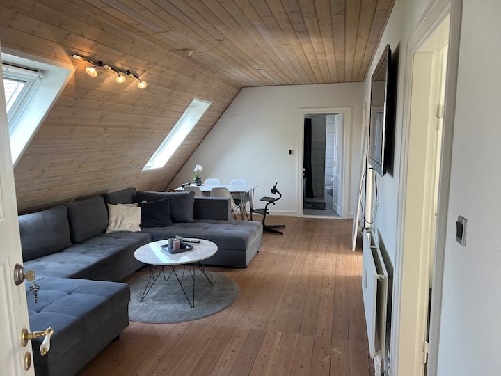 Penthouse Apartment In Esbjerg City - Esbjerg