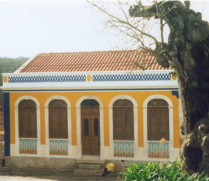 Historical 4 - Bedroom Villa In Alcobaca - Nazaré