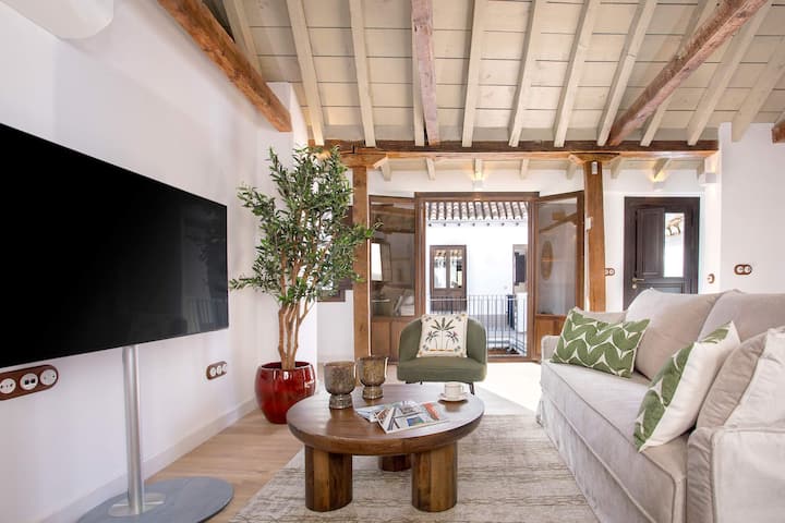 Luxury Apartment In Granada. Horno Marina 6 - Granada