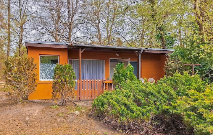 Fh Maisgelb - Rheinsberg