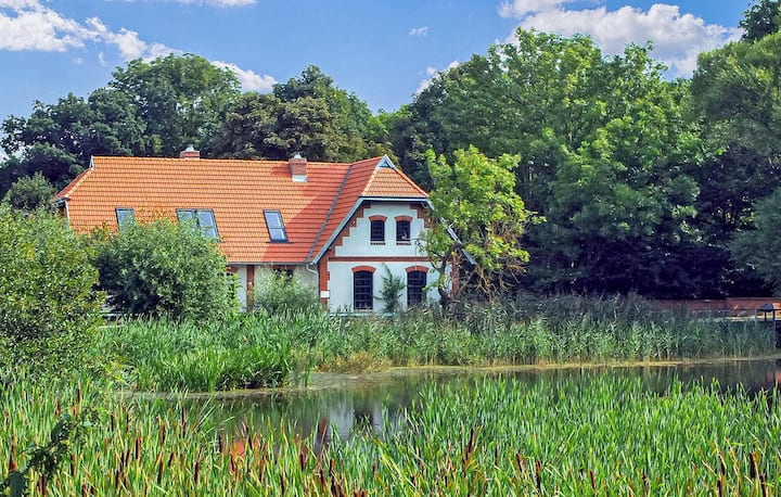 Ferienhaus Hohen Demzin - Teterow