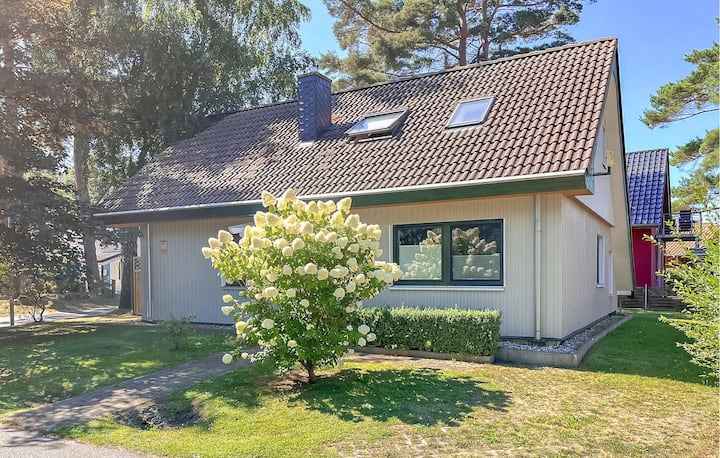Ferienwohnung Bodstedt - Darß