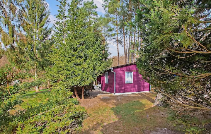 Fh Brombeere - Rheinsberg