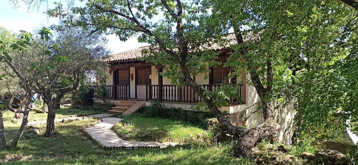 Finca La Josa, Candeleda, Gredos, Vutav397 - Candeleda
