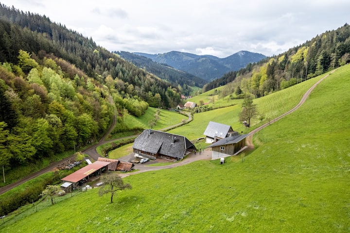 Ferienwohnung Metzgerbauernhof - Wolfach