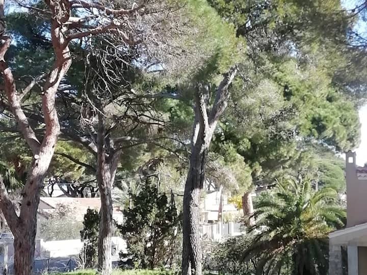 Studio Hyères, 1 Pièce, 2 Pers. - Porquerolles