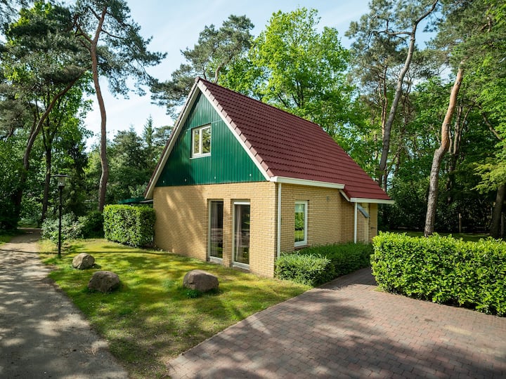 Bungalow 4l3 - Spdb - Oisterwijk