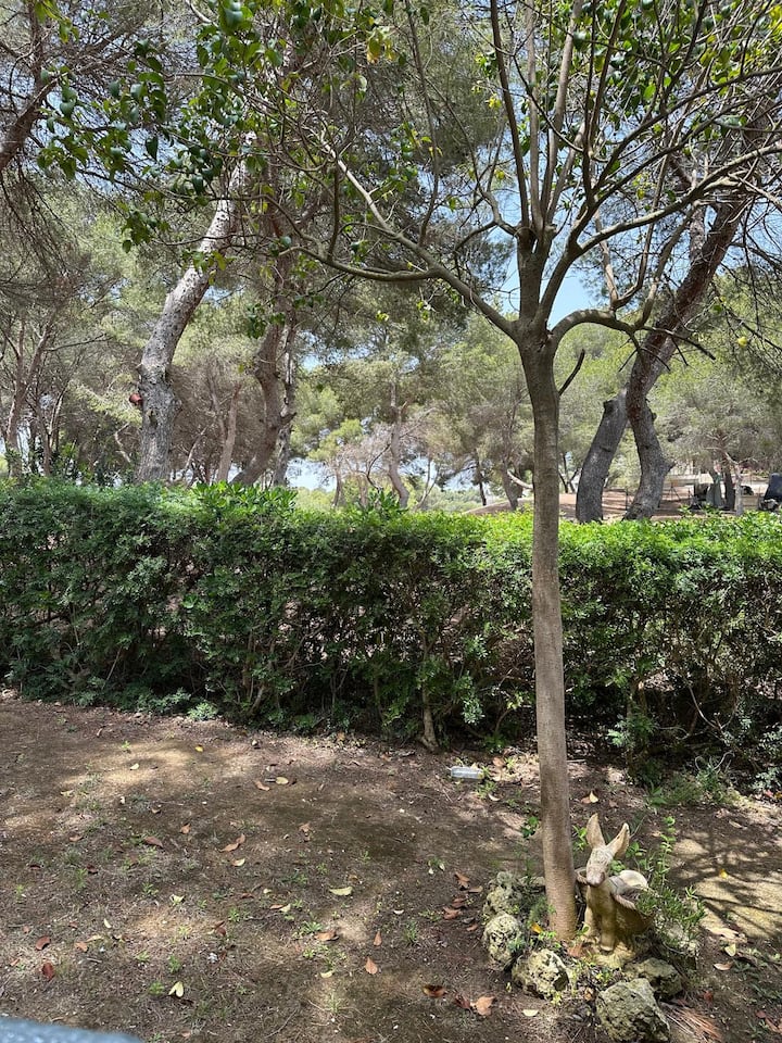 Apartment Las Ramblas Campoamor - Costa Blanca