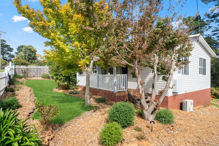 Clementine - Katoomba