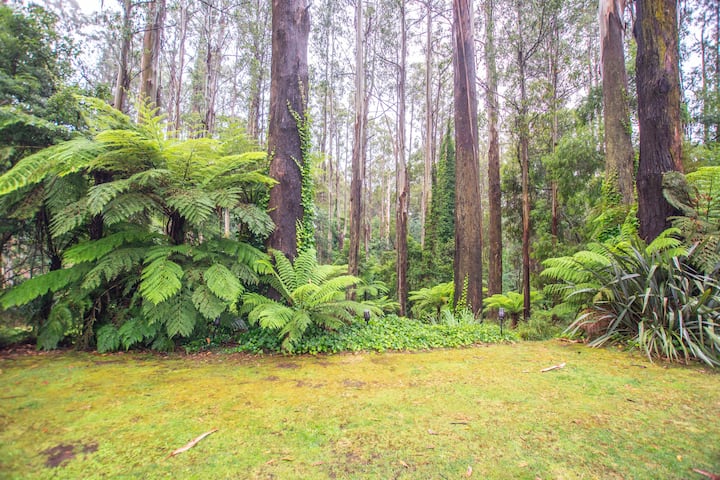 The Grand Lodge: Private Rainforest With River - Dandenong Ranges