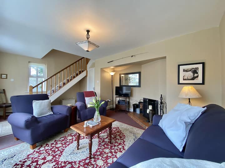 Cottage 460 - Clifden - Clifden