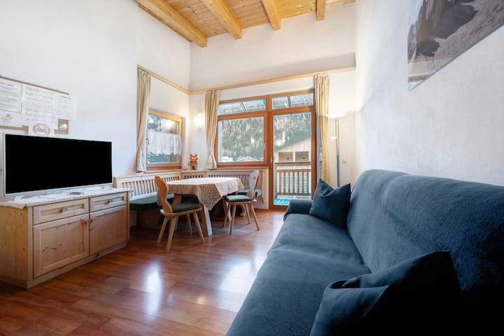 Apartments Antersi Silvia - Saint Vigil