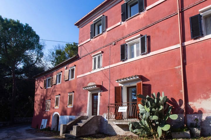 S240 - Sirolo, Apartment - Numana