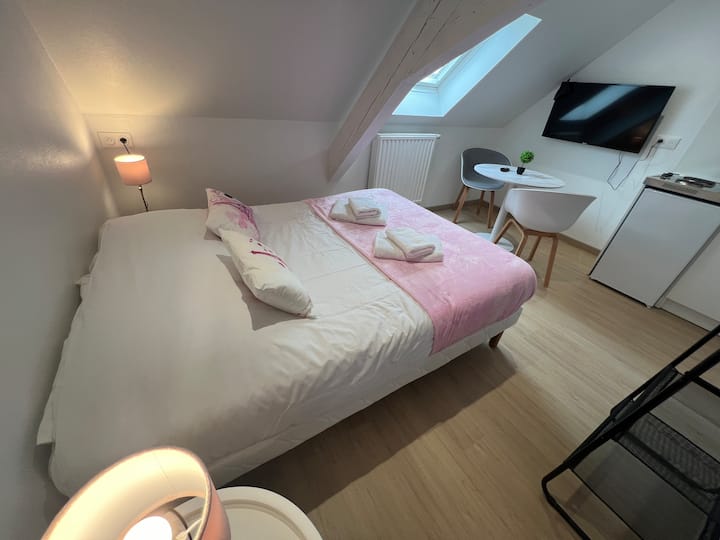 Esprit France, Joli Studio Au Coeur De Mulhouse - Mulhouse